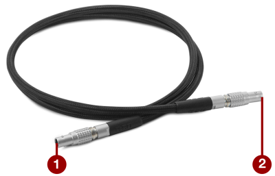 R.C.P. Developer Kit-to-T.H.C. Connector Cable