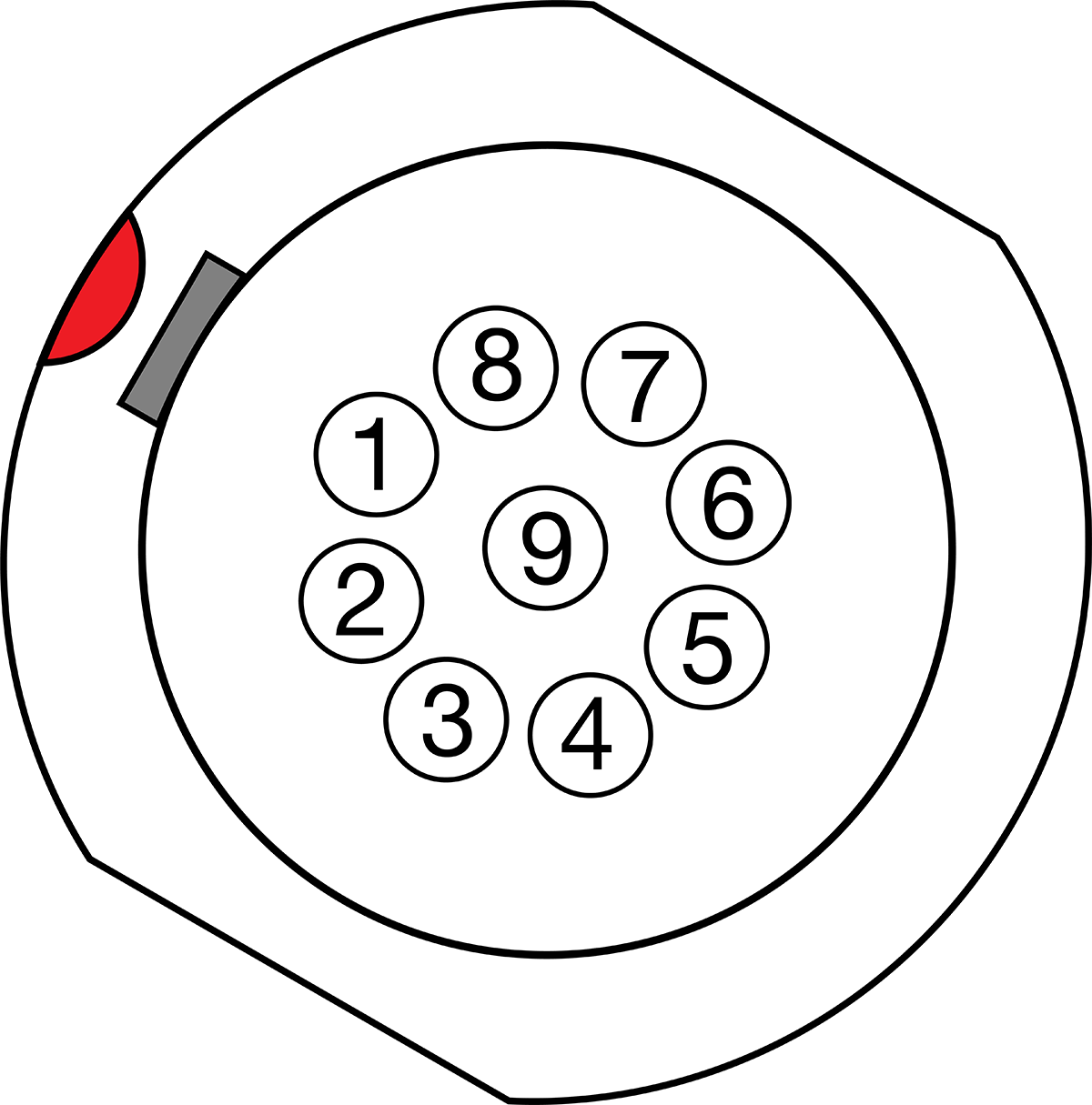 Extension Port