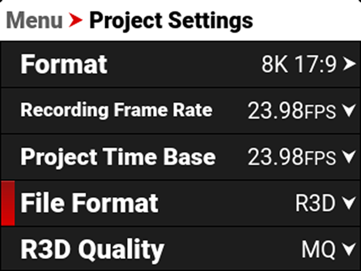 File Format