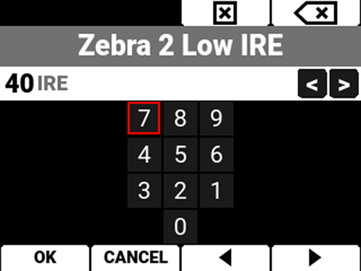 Zebra 2
