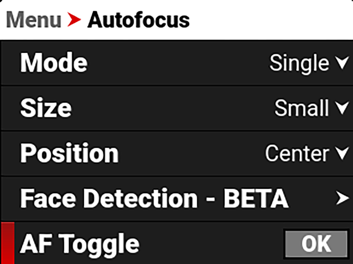 AF Toggle