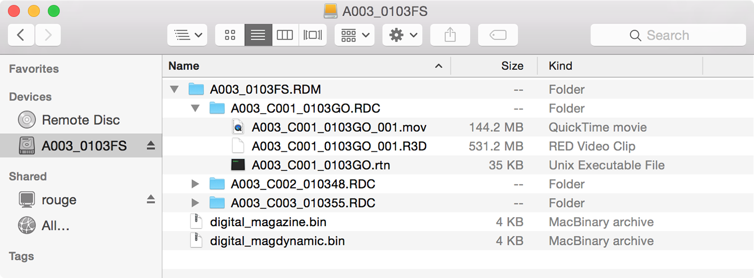 File Format