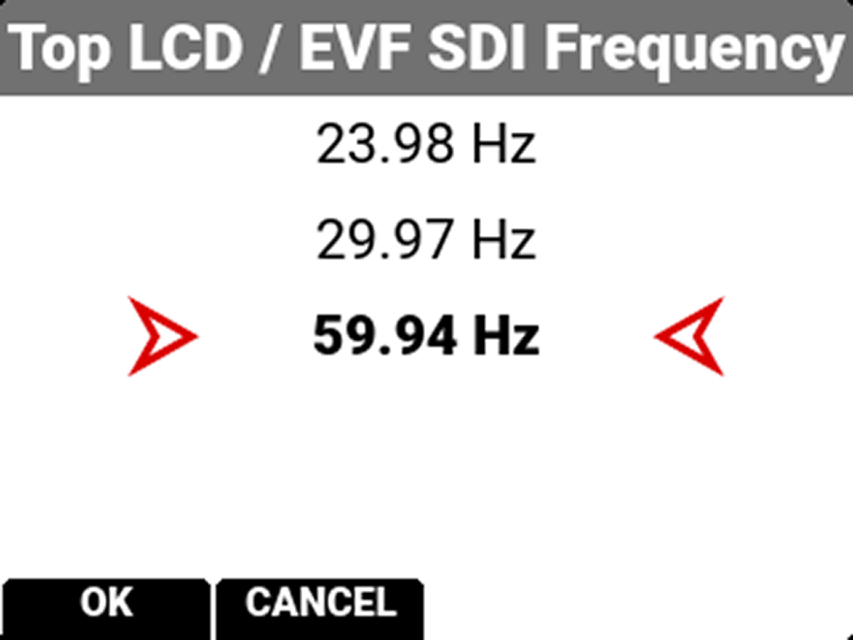 Top LCD / EVF SDI